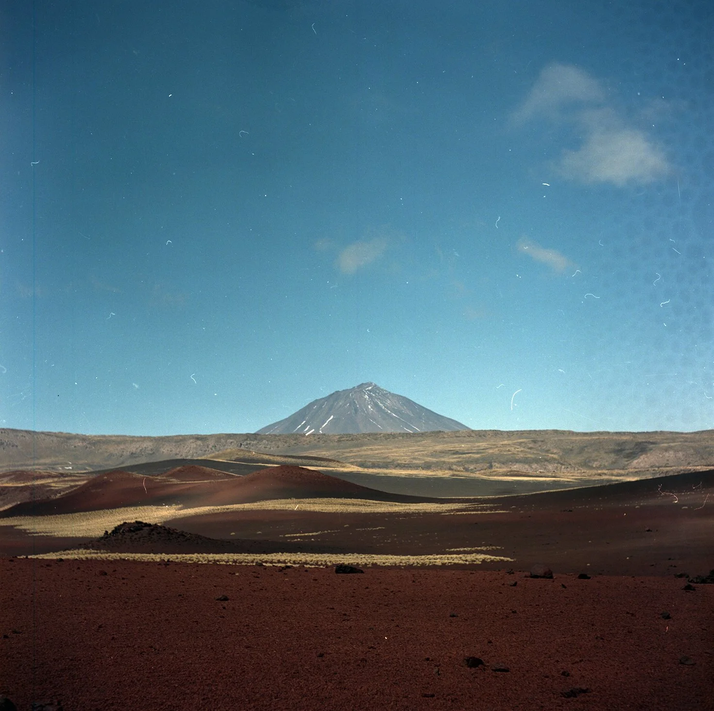 Online Group Exhibition - "(Re)Collections" June 2023 — Analog Forever ...