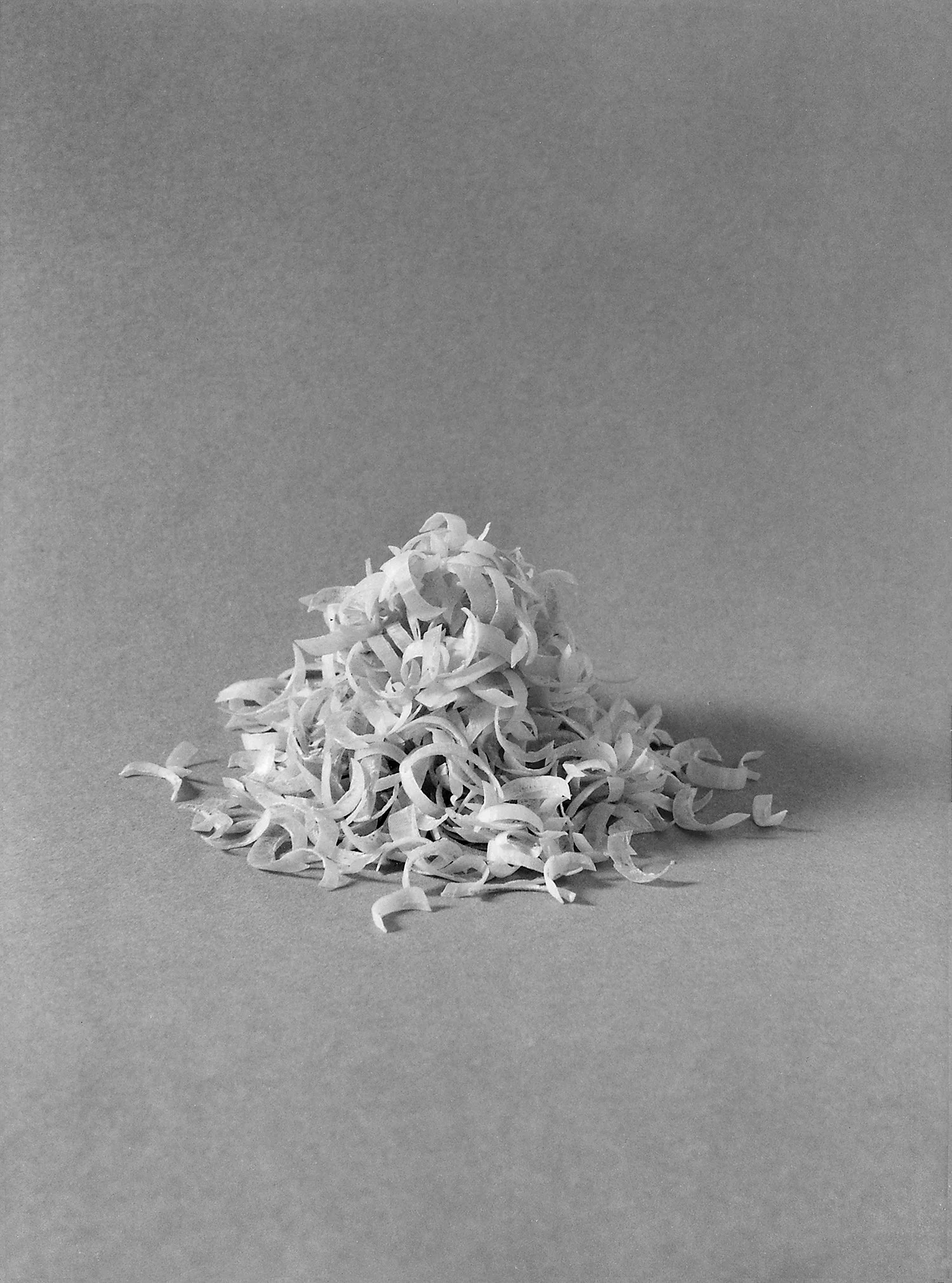 Online Group Exhibition - "(Re)Collections" June 2023 — Analog Forever ...