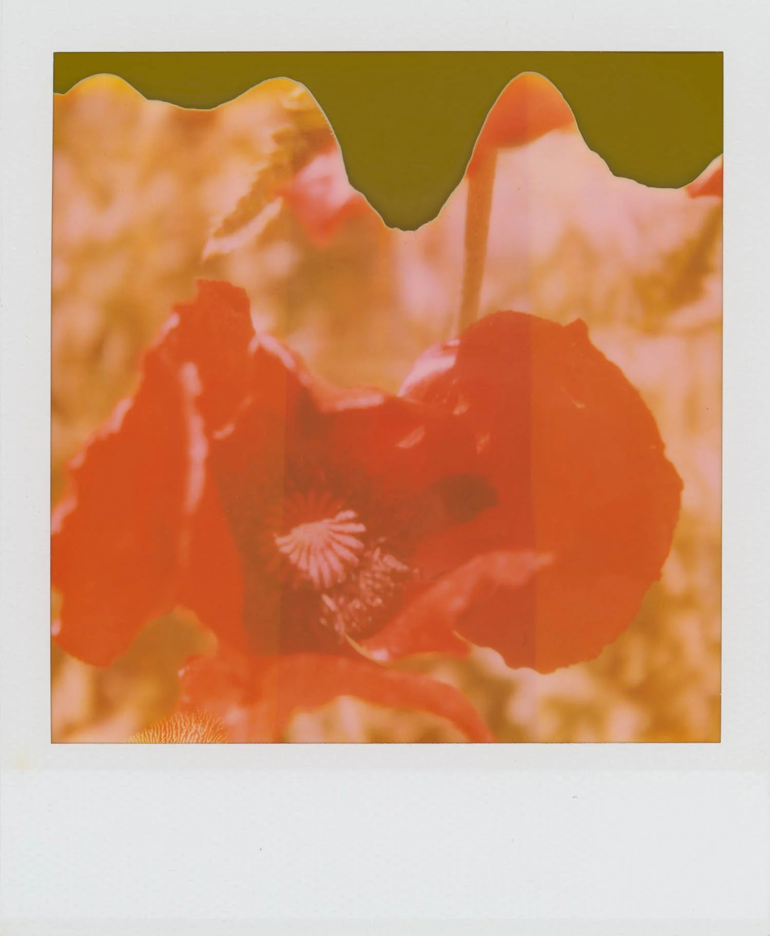 Online Group Exhibition - "Glitch in the Matrix" August 2023 — Analog ...