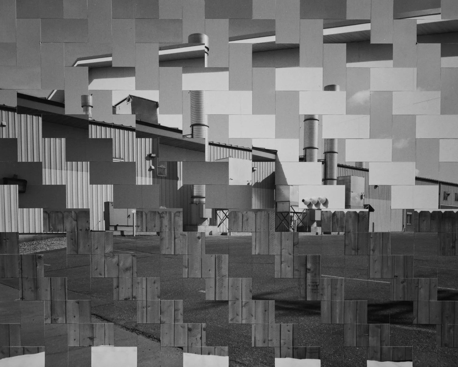 Featured Photographer: Victoria Kosel - “A Cut Above” — Analog Forever ...