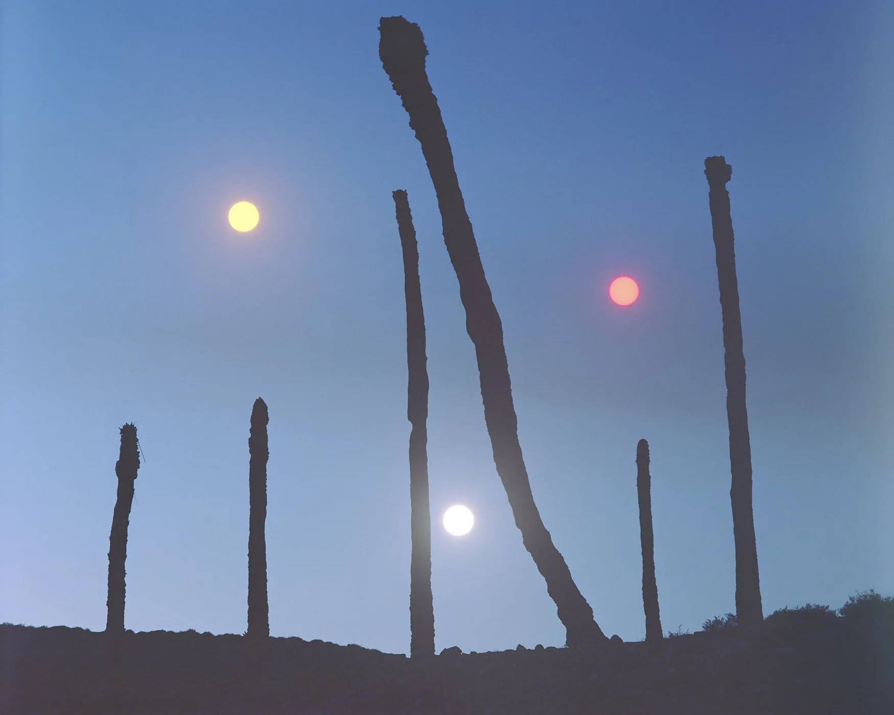 Featured Photographer: Luca Tombolini - "Vistas Paradossales” — Analog ...