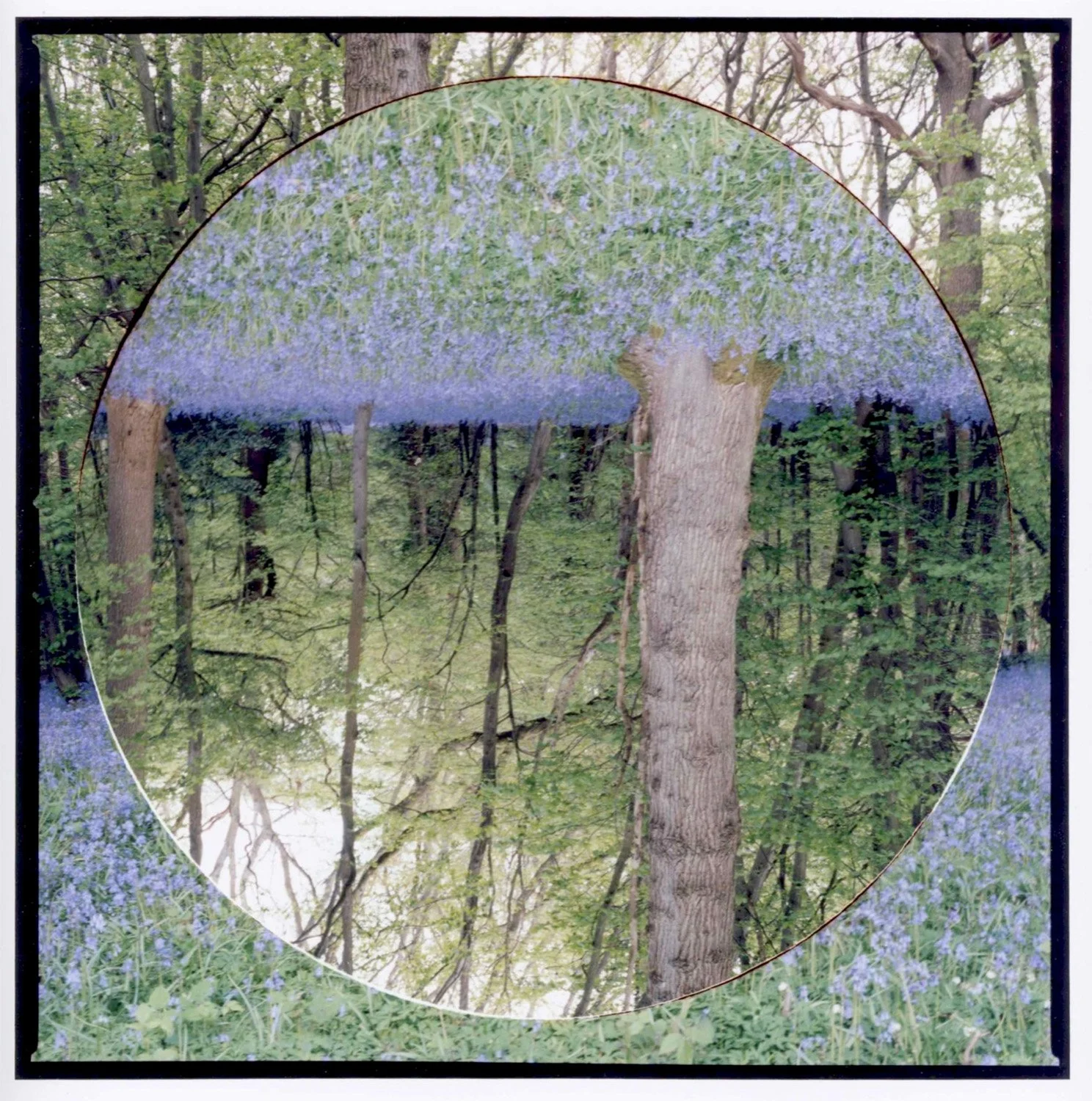 Interview: Aliki Braine - On Making vs. Taking — Analog Forever Magazine