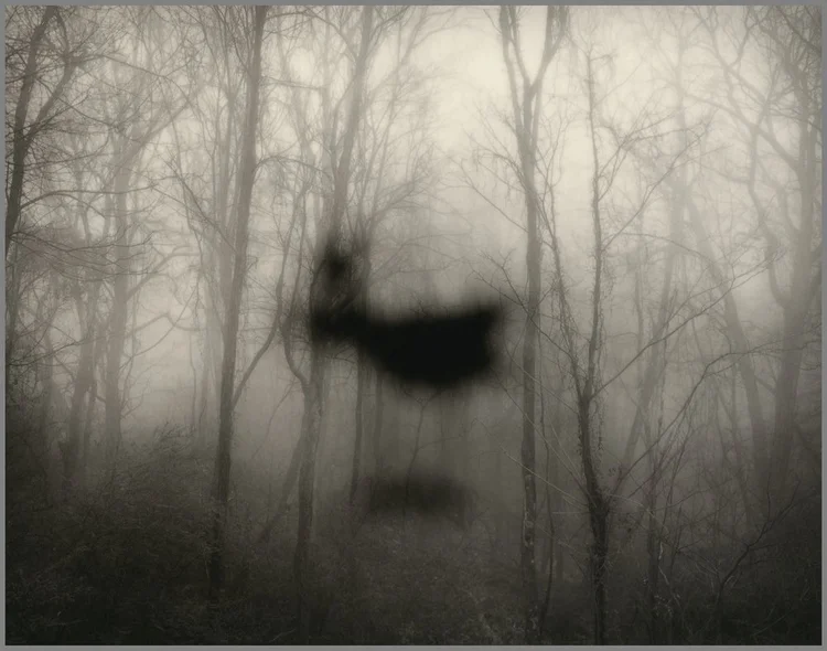Book Review: Platinotype: Making Photographs in Platinum and Palladium ...