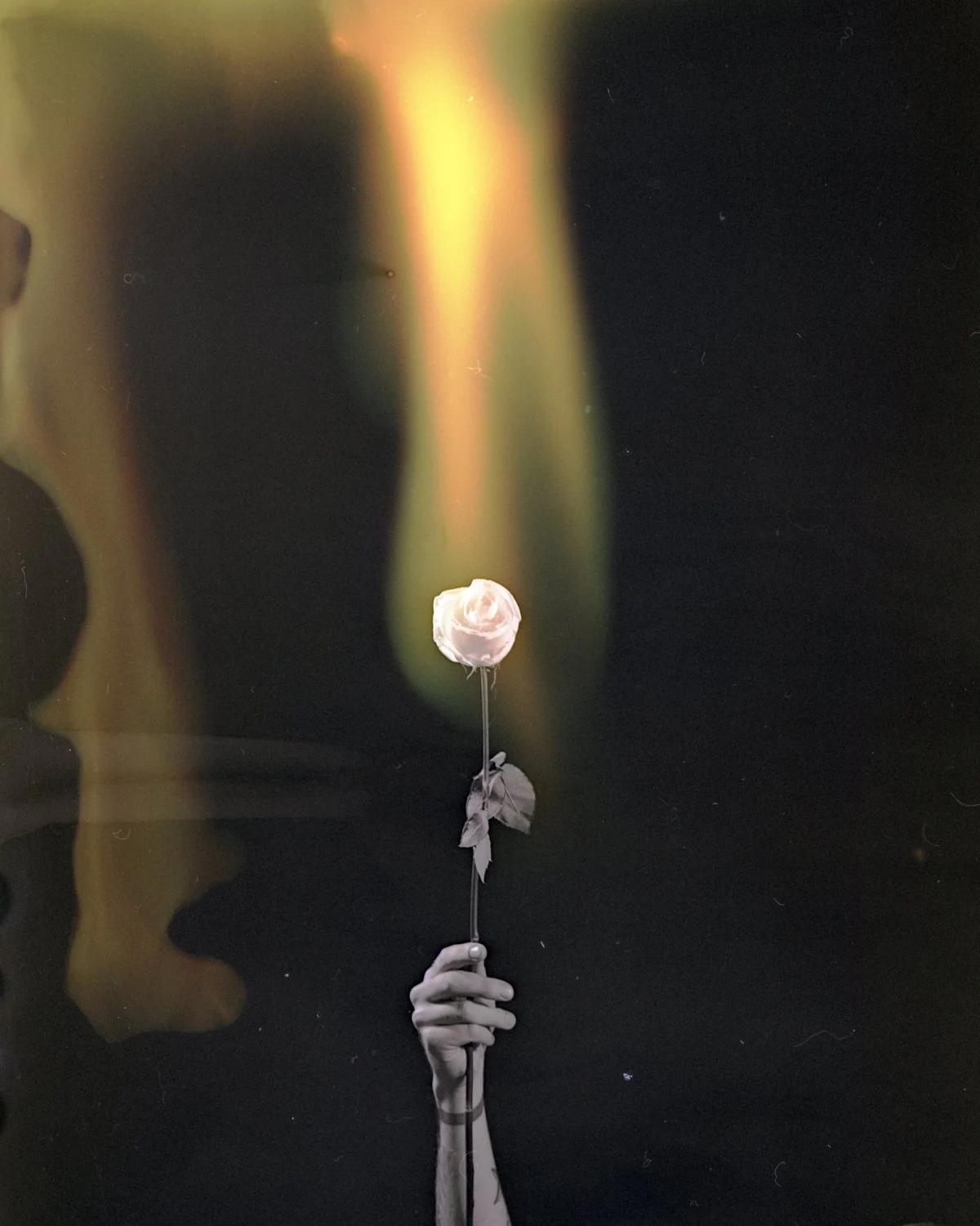 Featured Photographer: Josh Lee - "Altered Realities" — Analog Forever ...