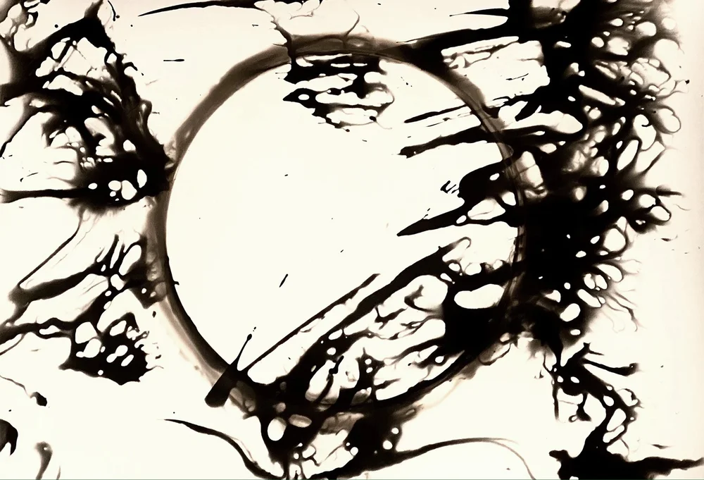 Featured Photographer: David Scheinbaum - “ENSŌ” — Analog Forever Magazine