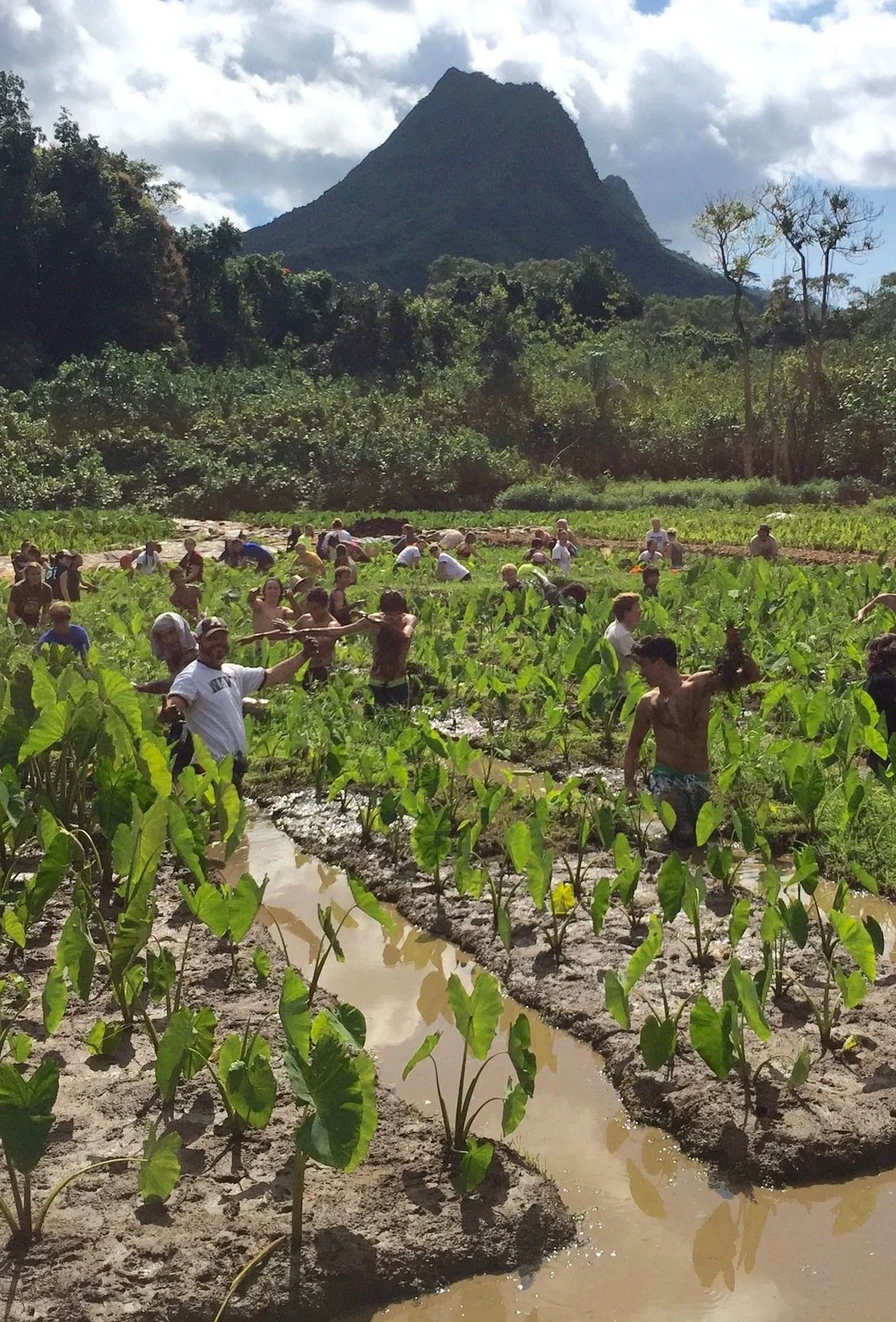 Common Ground Summit — Wild Kids