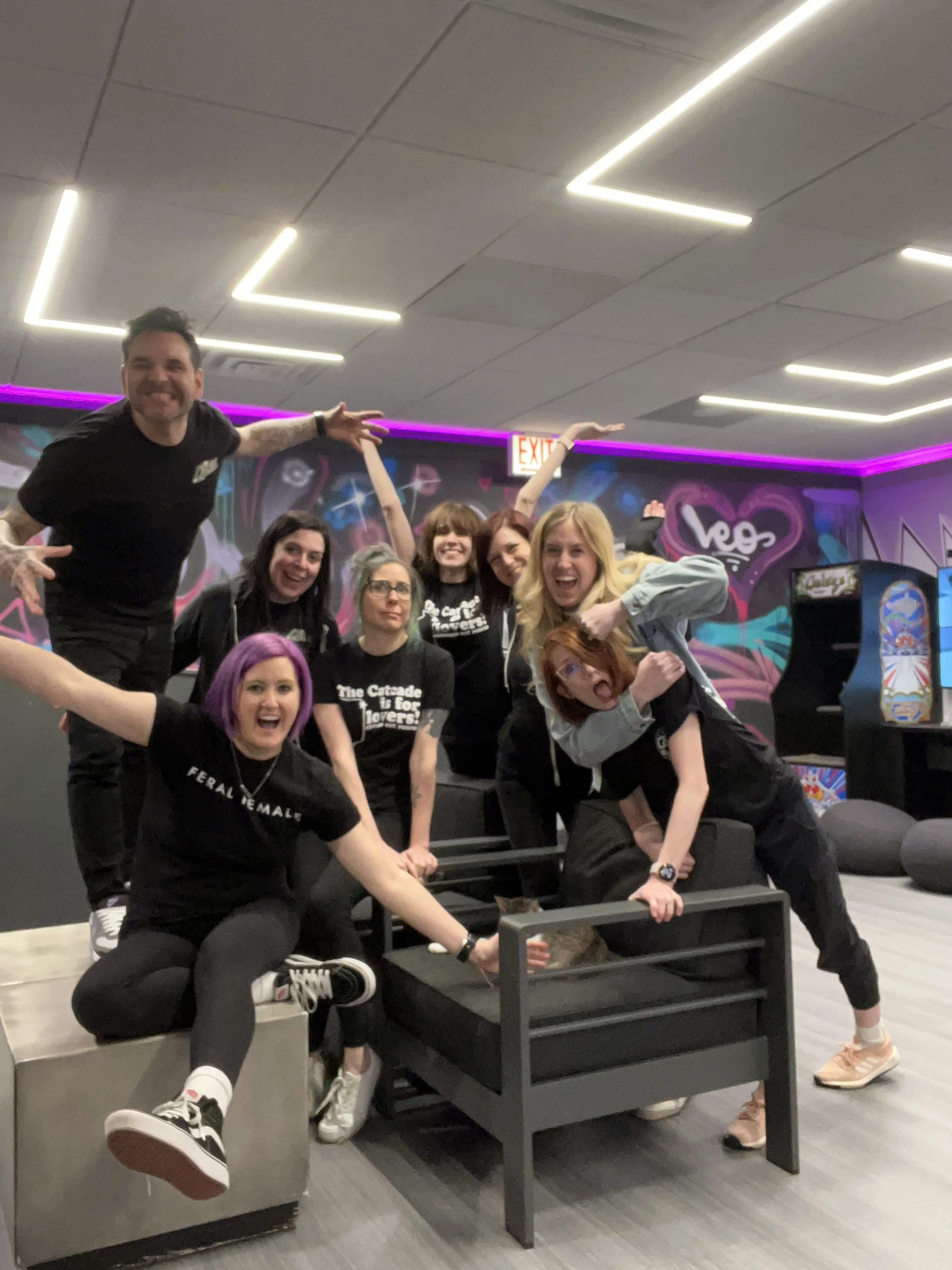 The Catcade - Chicago Cat Cafe, Rescue, and Lounge