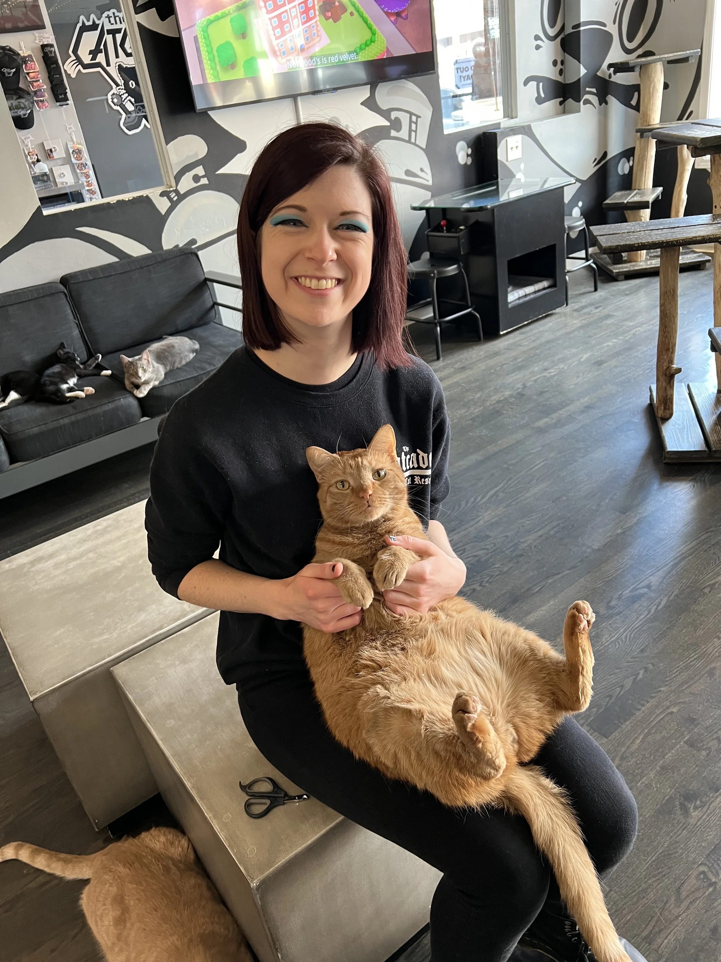 Our Team — The Catcade