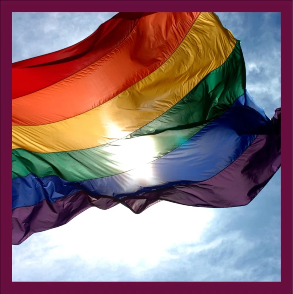 SEBASTOPOL AREA SENIOR CENTER - OUR PROGRAMS