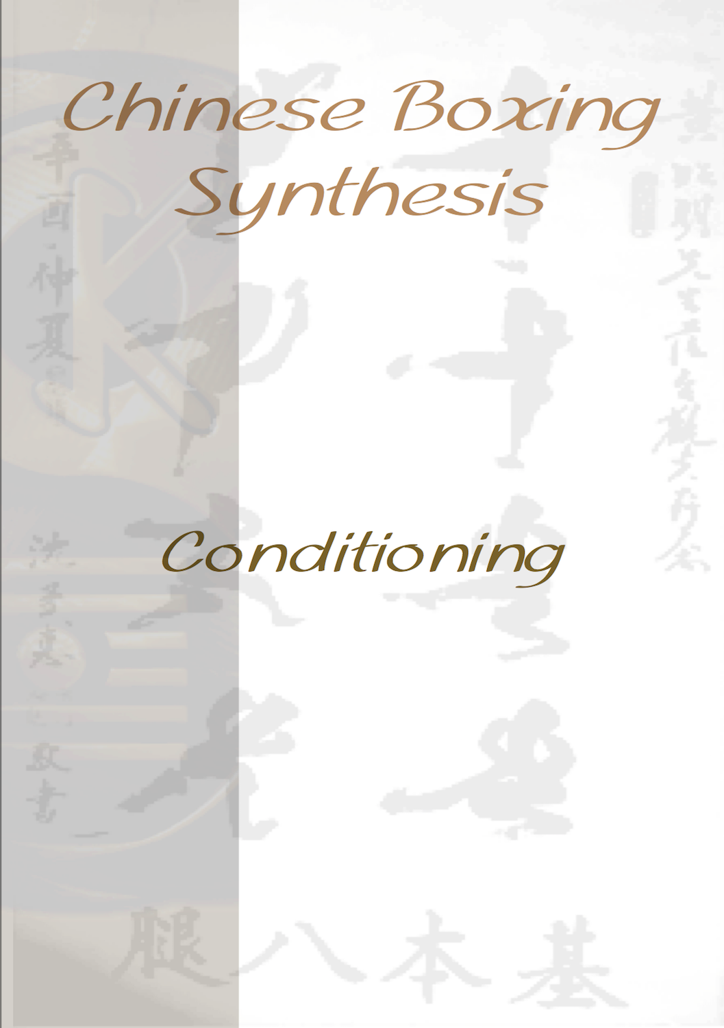 Chinese Boxing Synthesis — Chinese Boxing Institute International Home