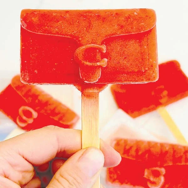 Custom Popsicle Molds – Nationwide Shipping from Los Angeles — Beach ...