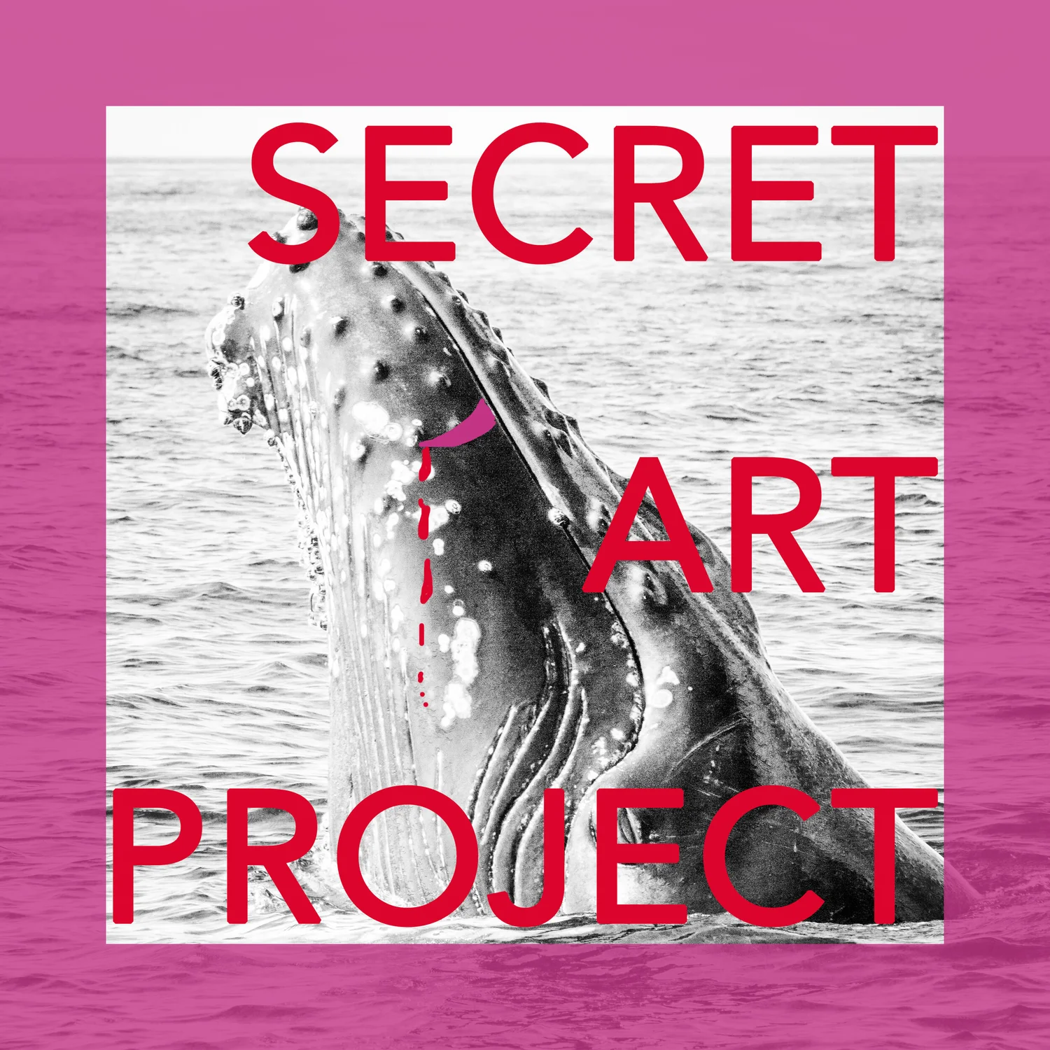 Secret Art Project