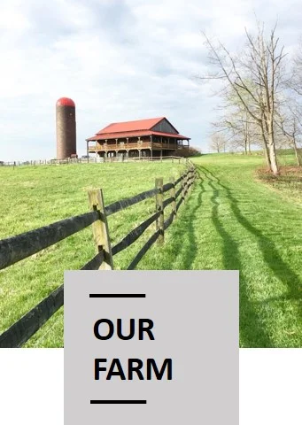 Armstrong Farms | Historic Western Pennsylvania Barn Weddings
