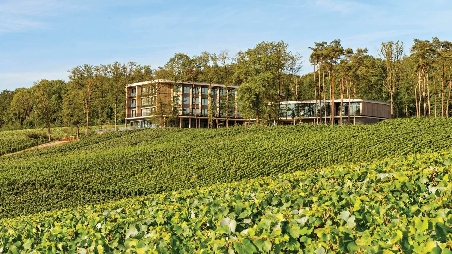 Limestone Capital leads LOISIUM Wine & Spa Hotels into next phase of ...