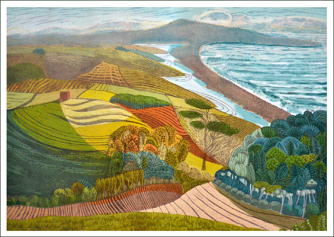 Shop — Liz Somerville