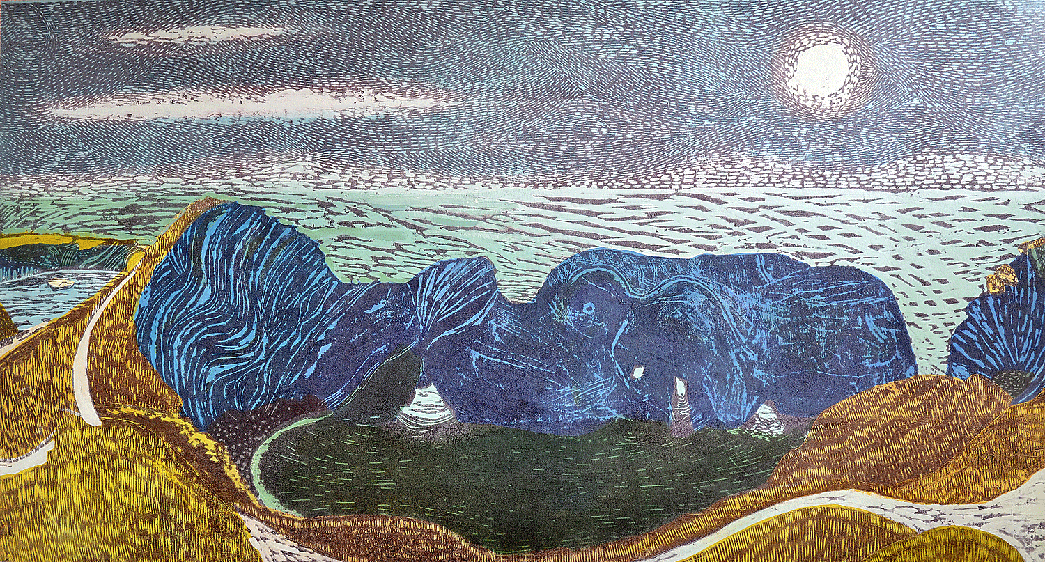 Liz Somerville artist — Liz Somerville