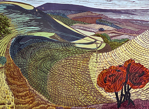 Liz Somerville artist — Liz Somerville