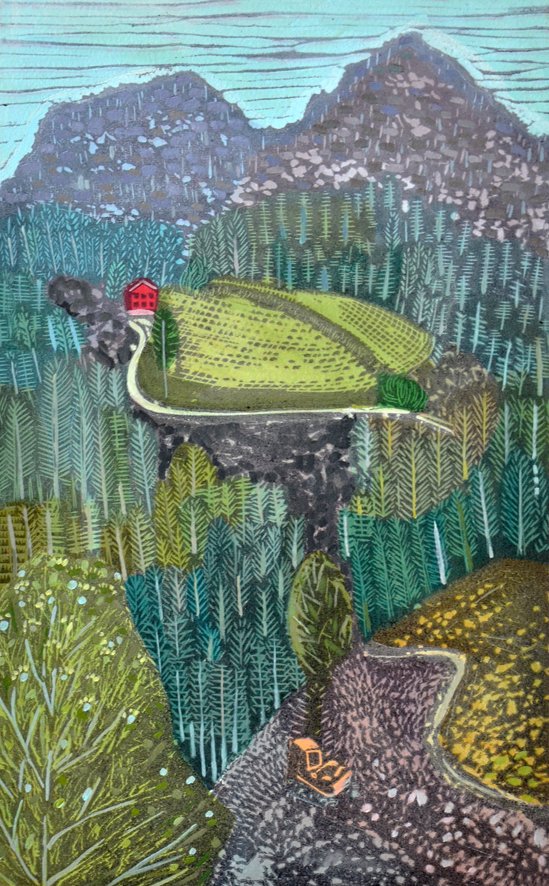 Liz Somerville artist — Liz Somerville