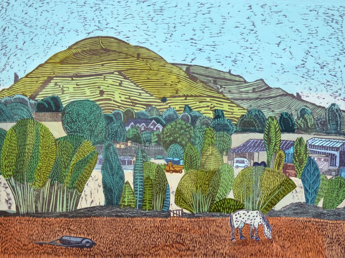 Liz Somerville