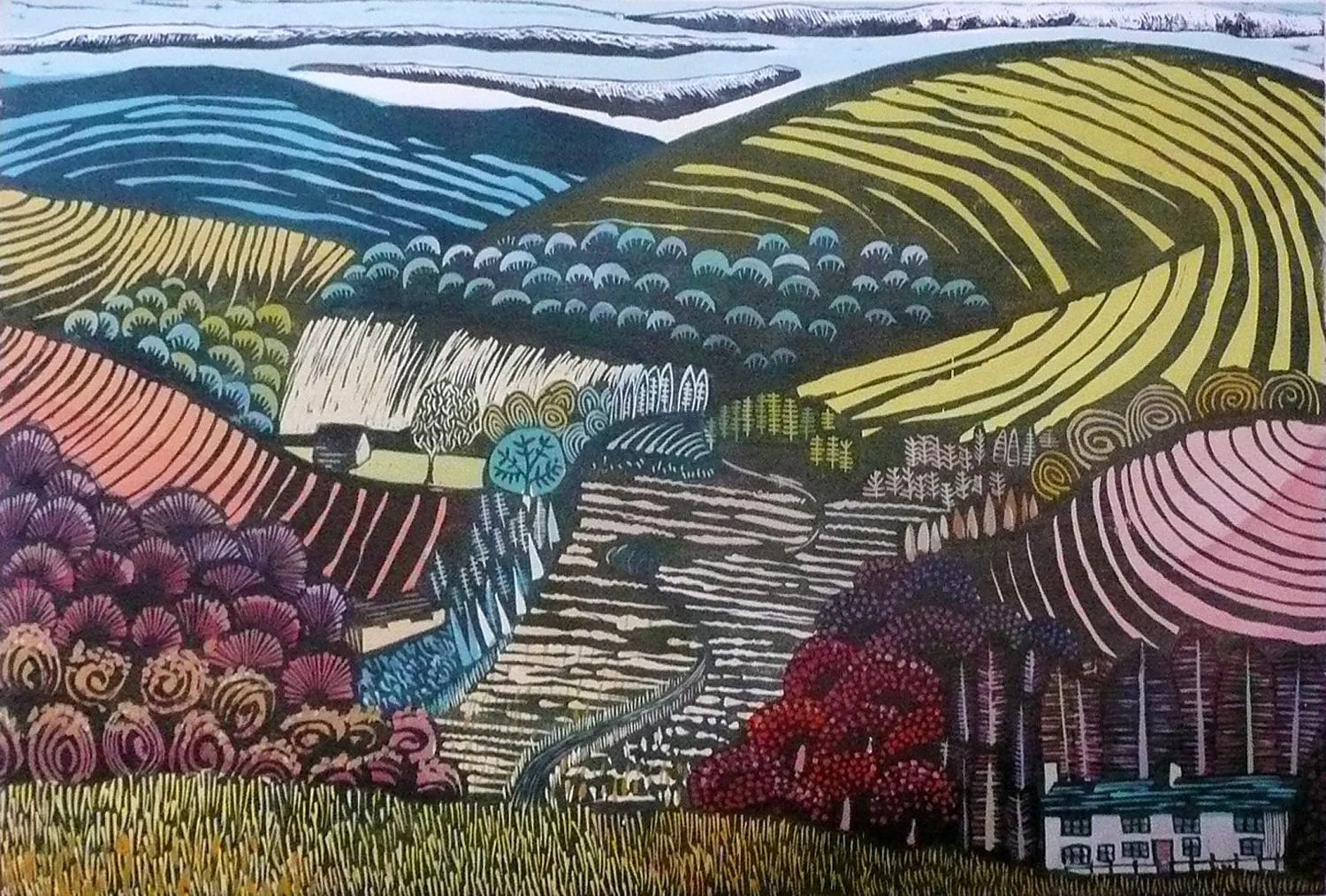 Liz Somerville