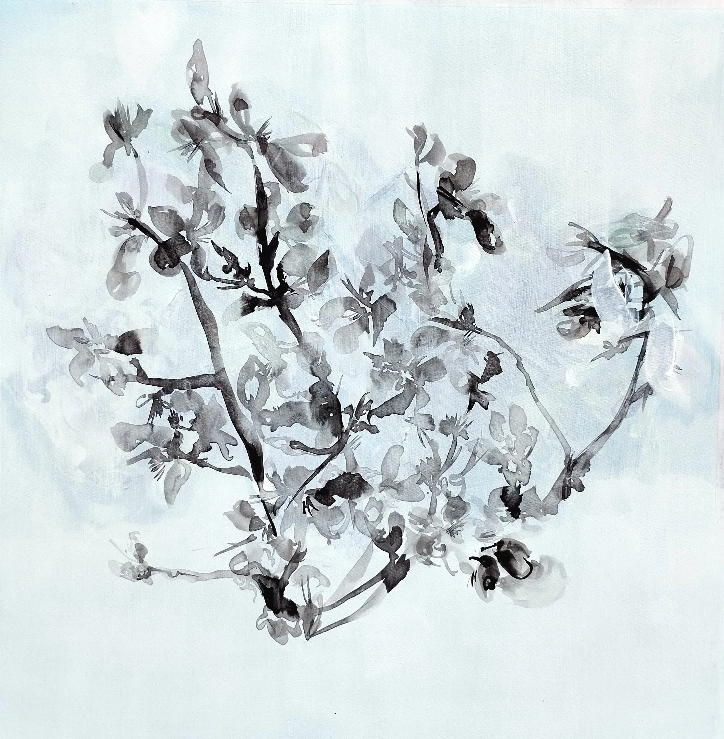 works on paper — Emma Archer