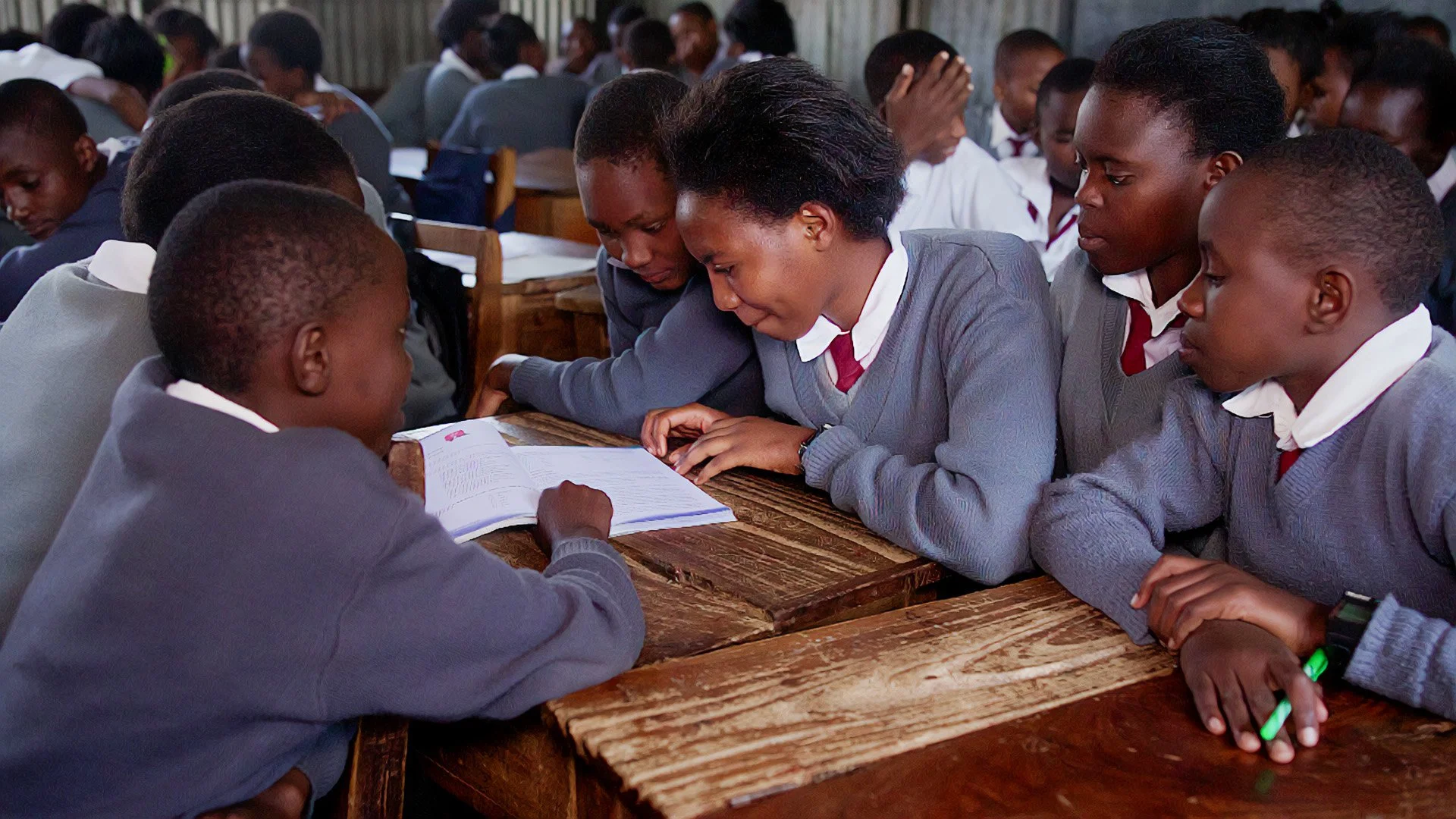 Holy Cross Parish in Illinois Connects with Saint Massimo School in ...