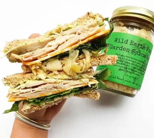 Wild Earth Fermentation