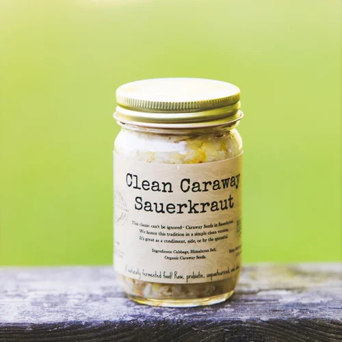 Wild Earth Fermentation