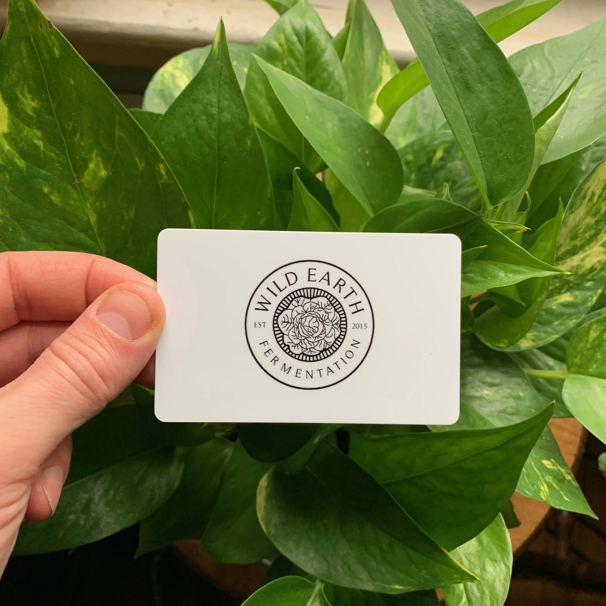 Store — Wild Earth Fermentation