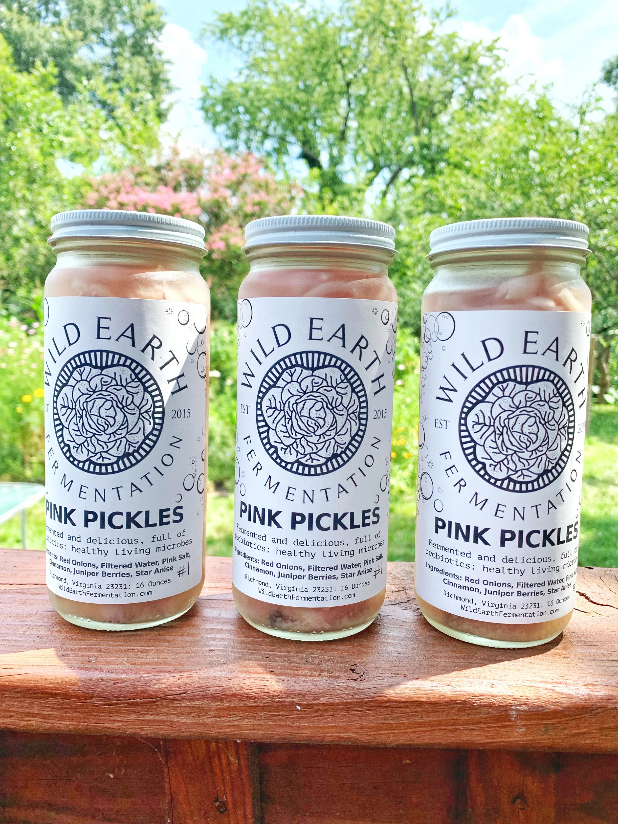 Pink Pickles — Wild Earth Fermentation