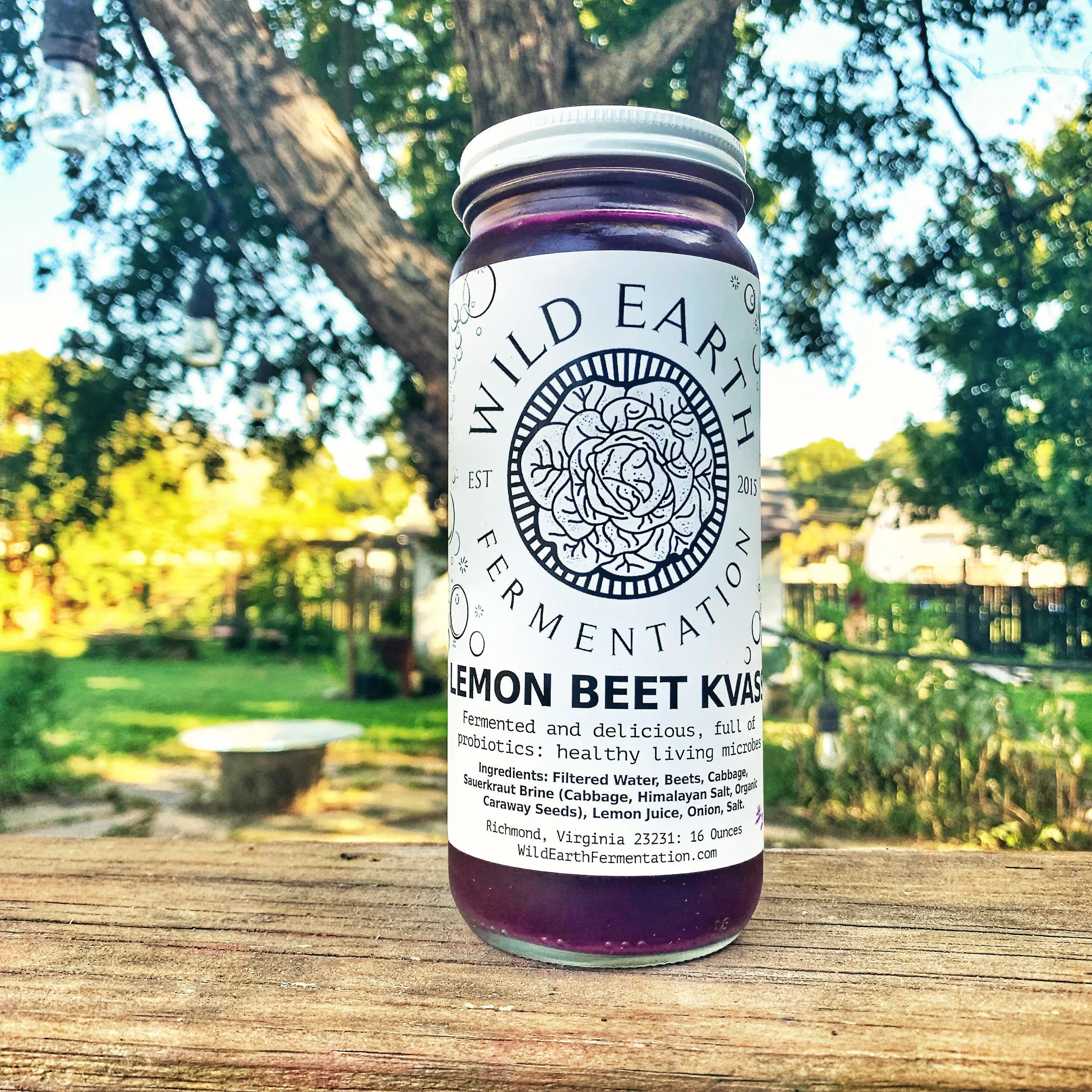 Lemon Beet Kvass — Wild Earth Fermentation