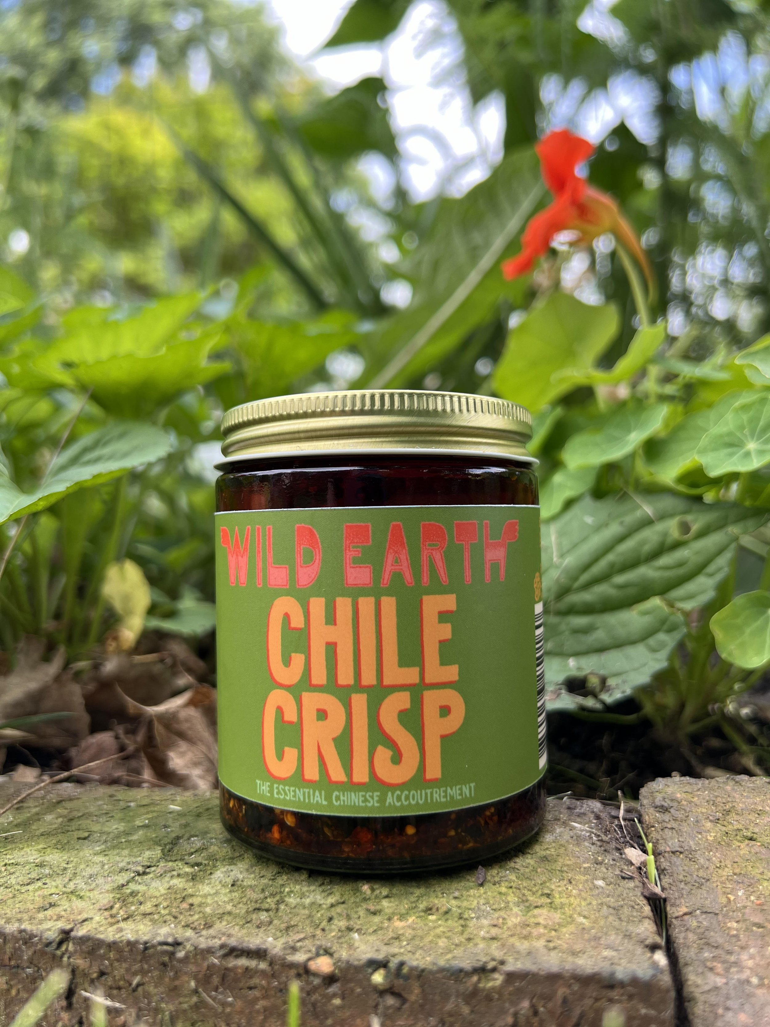 Store — Wild Earth Fermentation