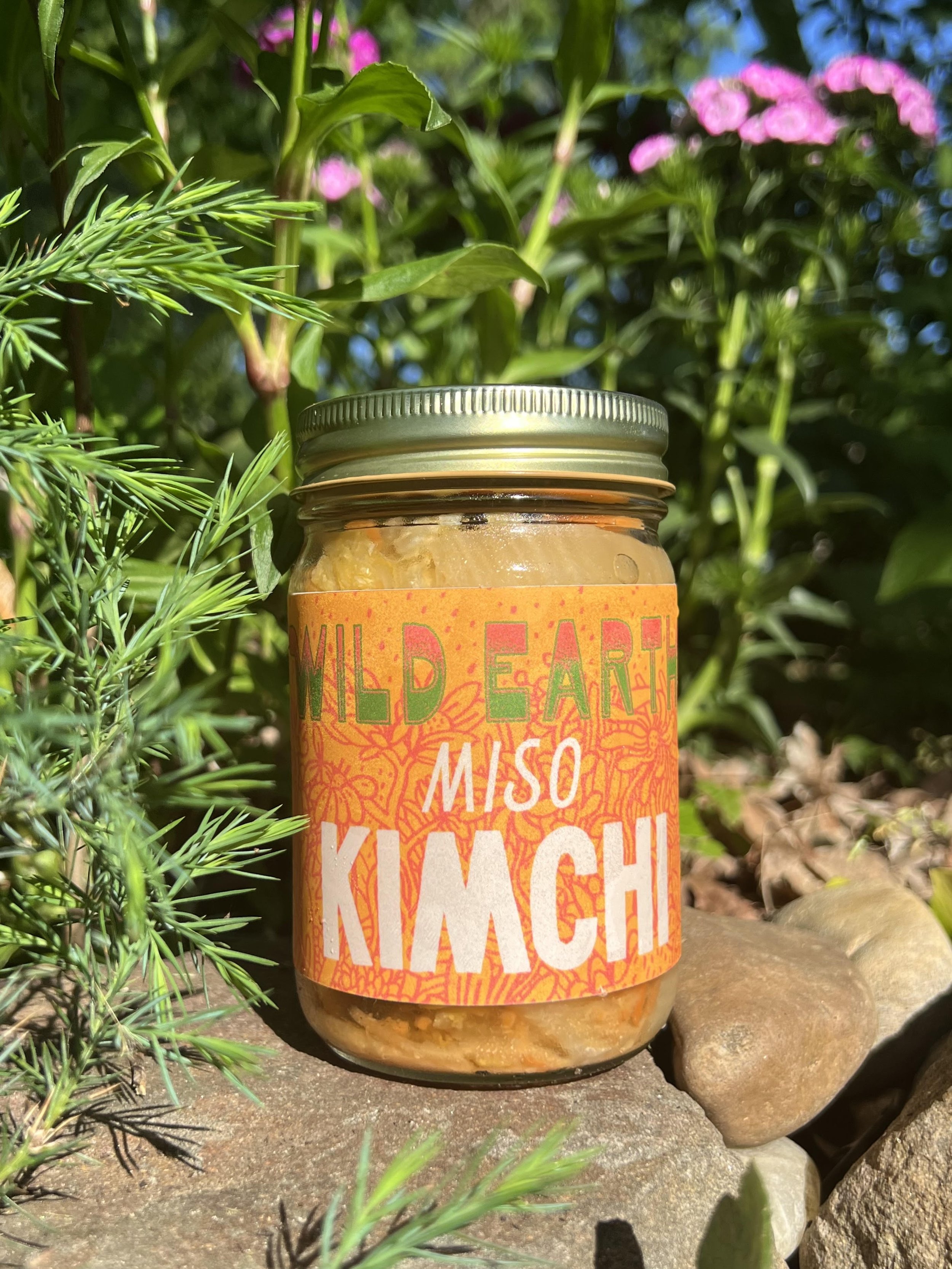 Store — Wild Earth Fermentation