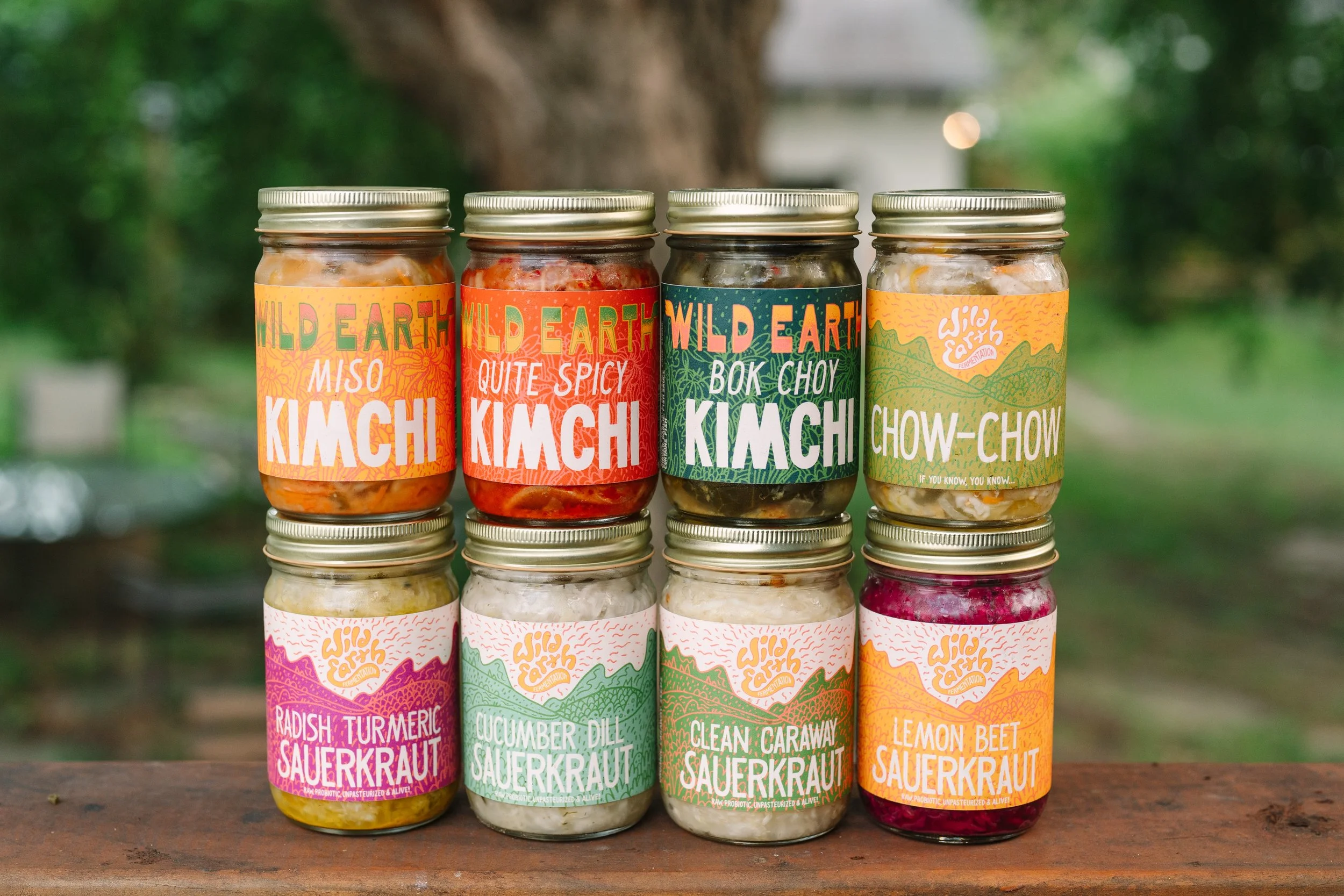 Wild Earth Fermentation
