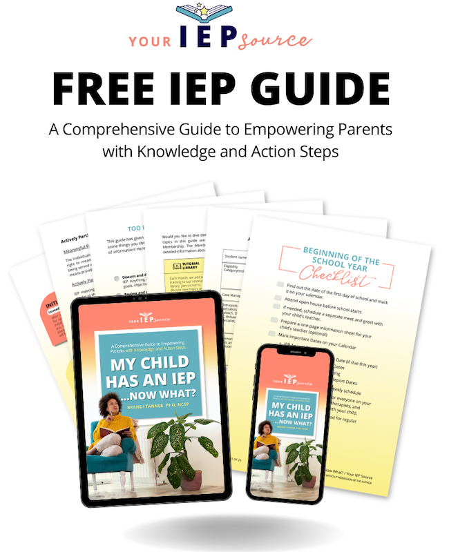 IEP Advocacy | IEP Consultant | Your IEP Source