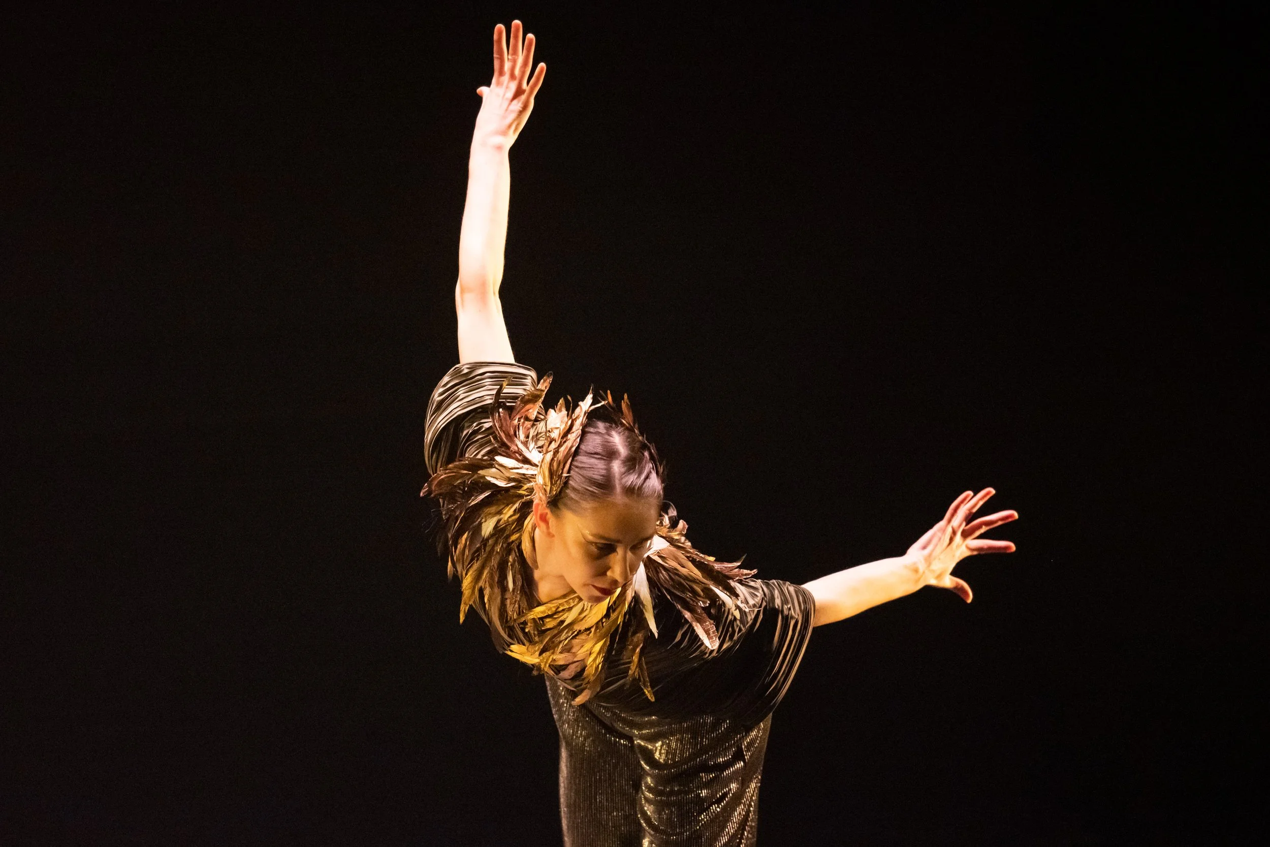 Firebird Reimagined — Elin Steele