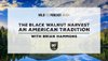 The Black Walnut Harvest — An American Tradition with Brian Hammons ...