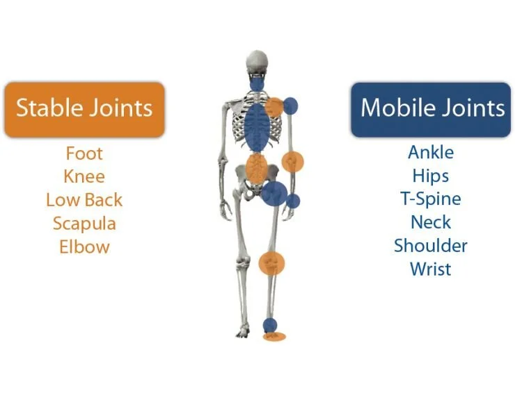 SHOULDERS: PART 1- WHAT'S THE SCOOP? — The Body Works Clinic