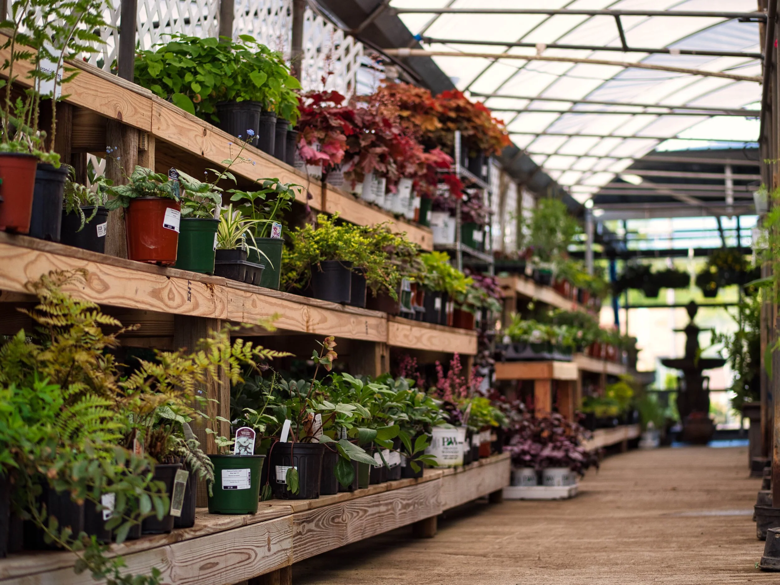 Plants — Fernwood Garden Center