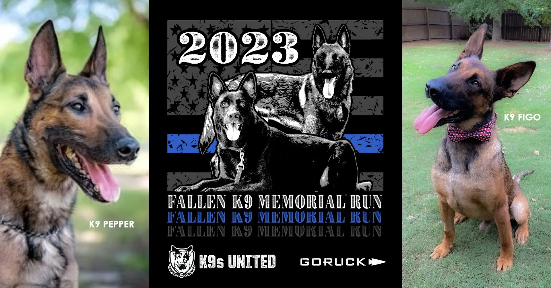 Events — K9s United