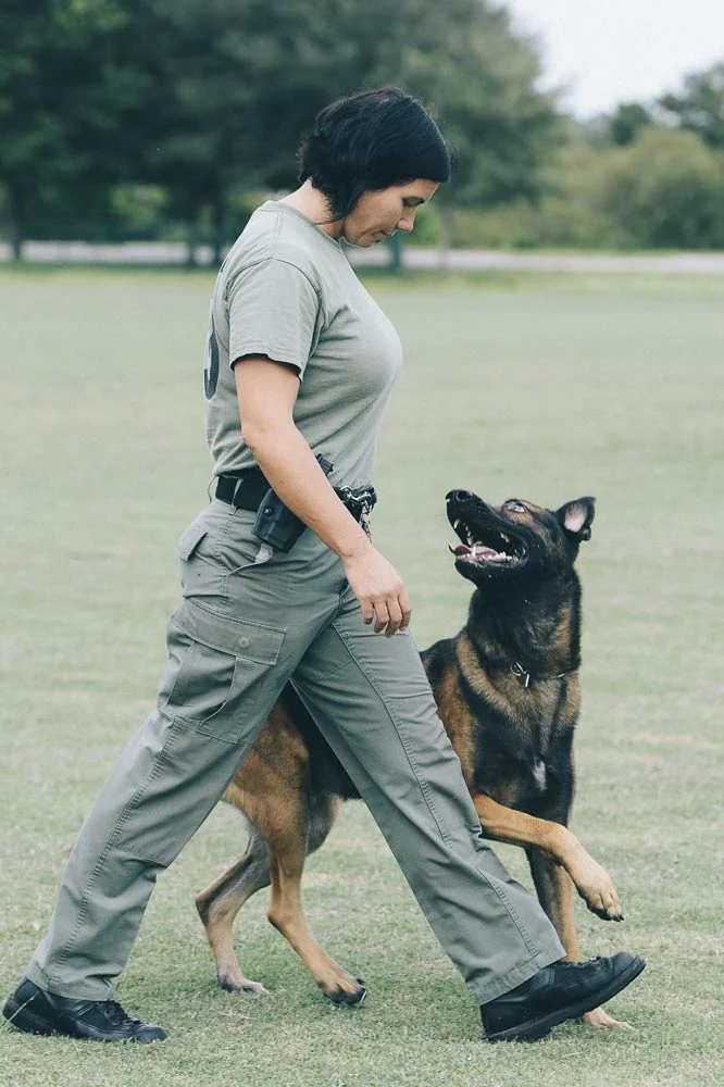 About K9s United — K9s United
