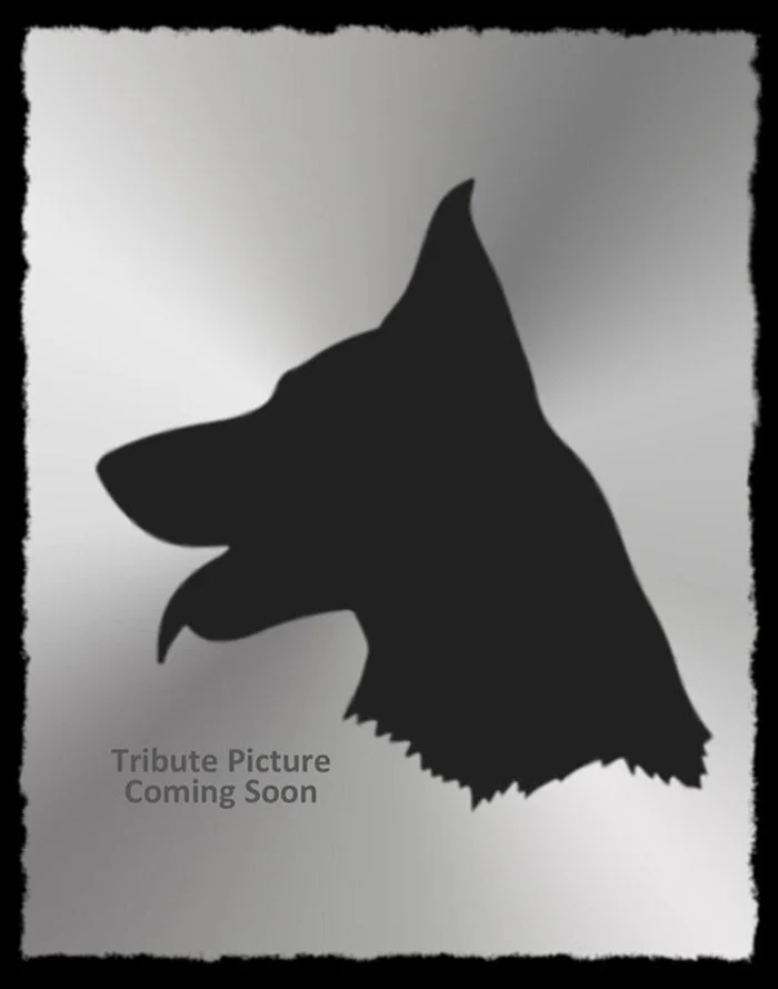 Tribute Wall — K9s United
