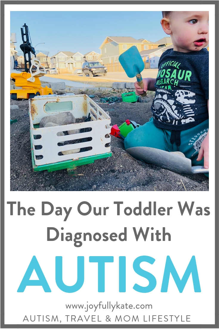 Autism Diagnosis - Third Times the Charm — Joyful Wild