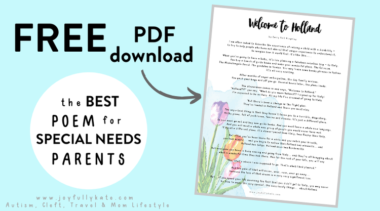 Becoming a Special Needs Parent, Welcome to Holland — Joyful Wild