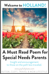 Becoming a Special Needs Parent, Welcome to Holland — Joyful Wild