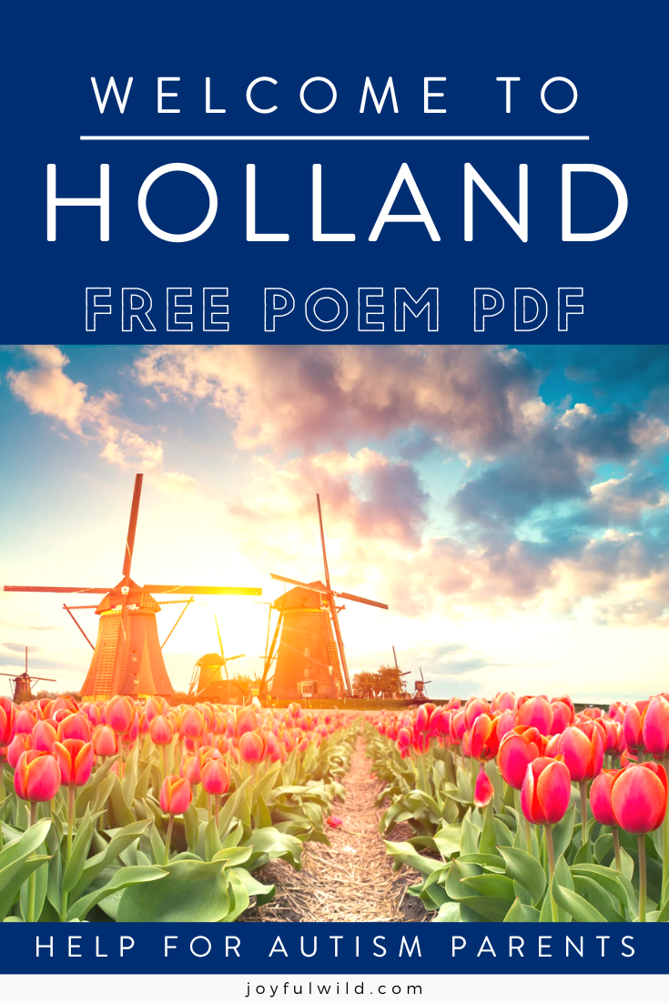 Becoming a Special Needs Parent, Welcome to Holland — Joyful Wild