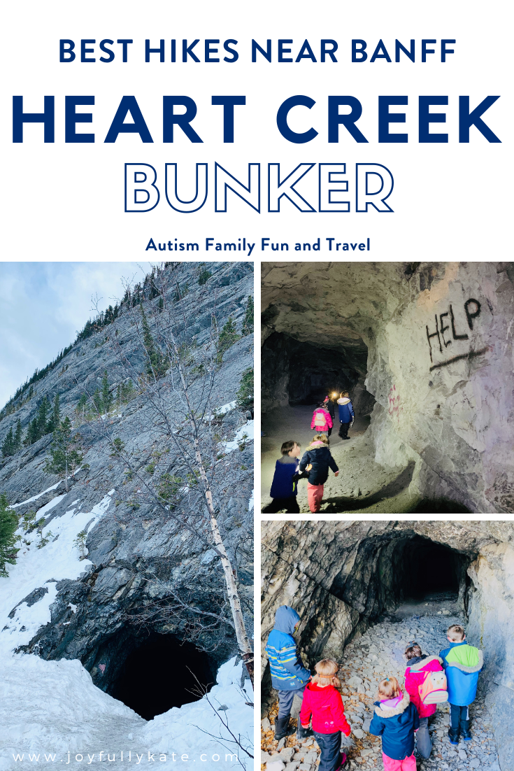 Heart Creek Bunker Trail Near Banff, Canada — Joyful Wild