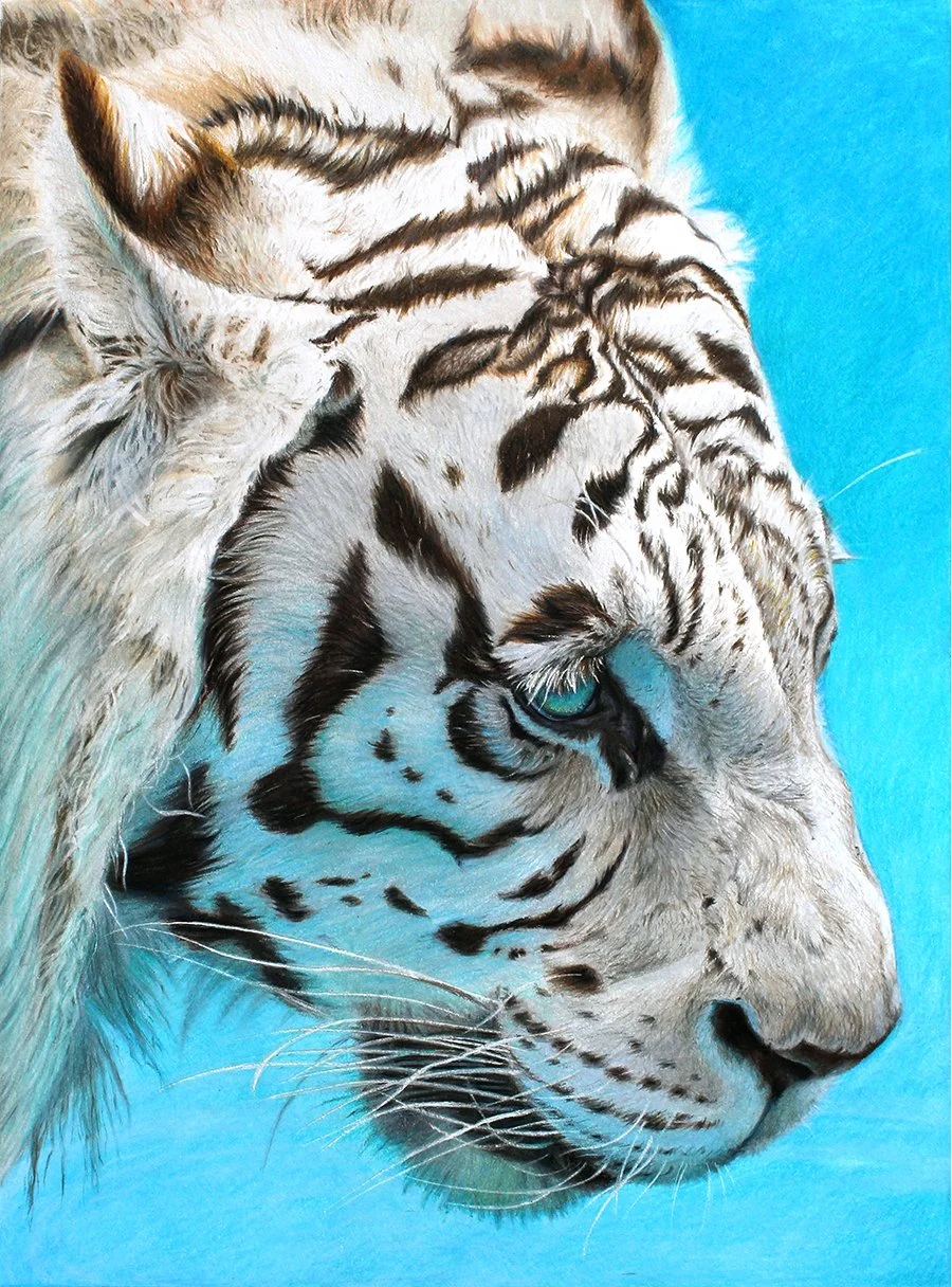 Convention Gallery — Cynthia Conner