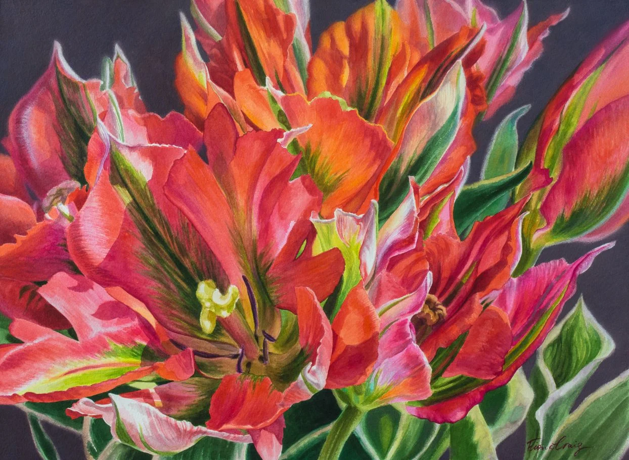 Still Life — Fiona Craig Fine Art