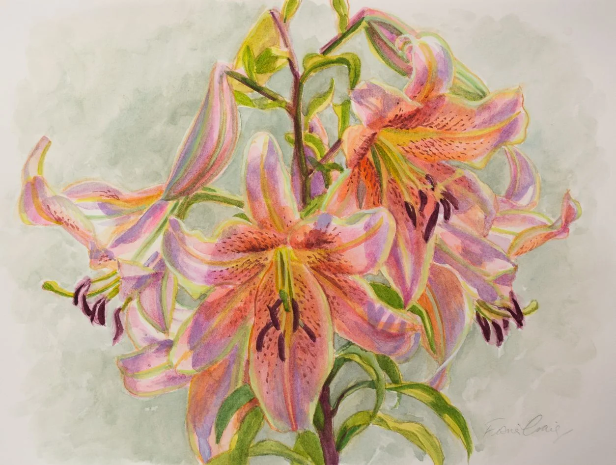 Shop Original Artworks — Fiona Craig Fine Art